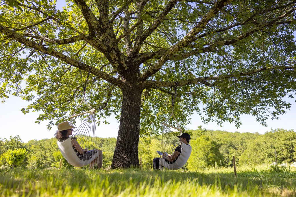 We are certified "European Ecolabel": what is it? why? | Auberge les Murets